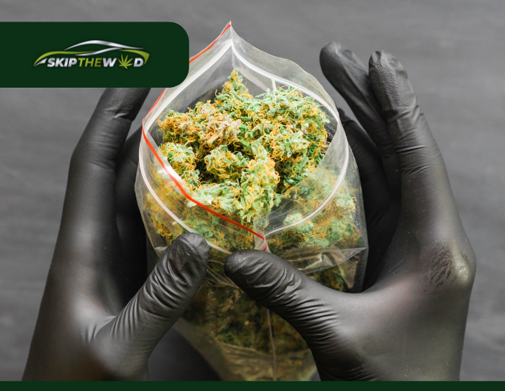 What Does It Feel Like Smoking Weed for the First Time? – Skip the Weed