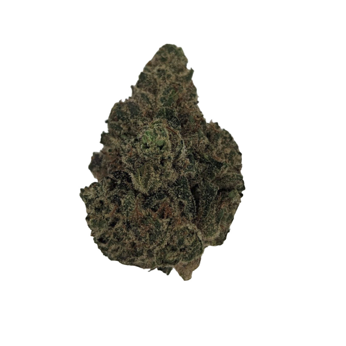 Buy Space Apes Strain Oz Winnipeg | Skip the Weed